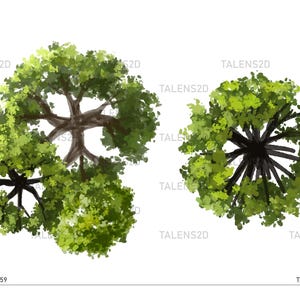 Tree Top View, 2D Landscape Clipart in PNG - Etsy