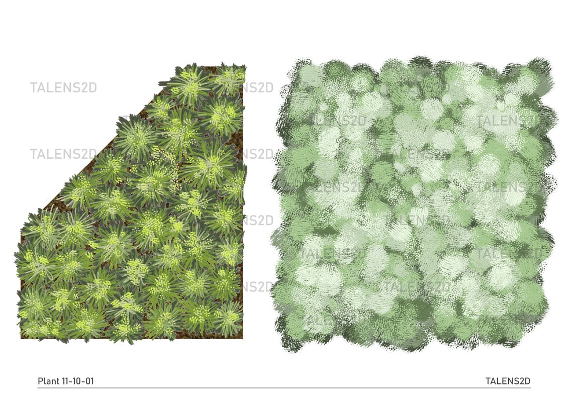 Plant Top View, 2D Landscape Clipart in PNG - Etsy