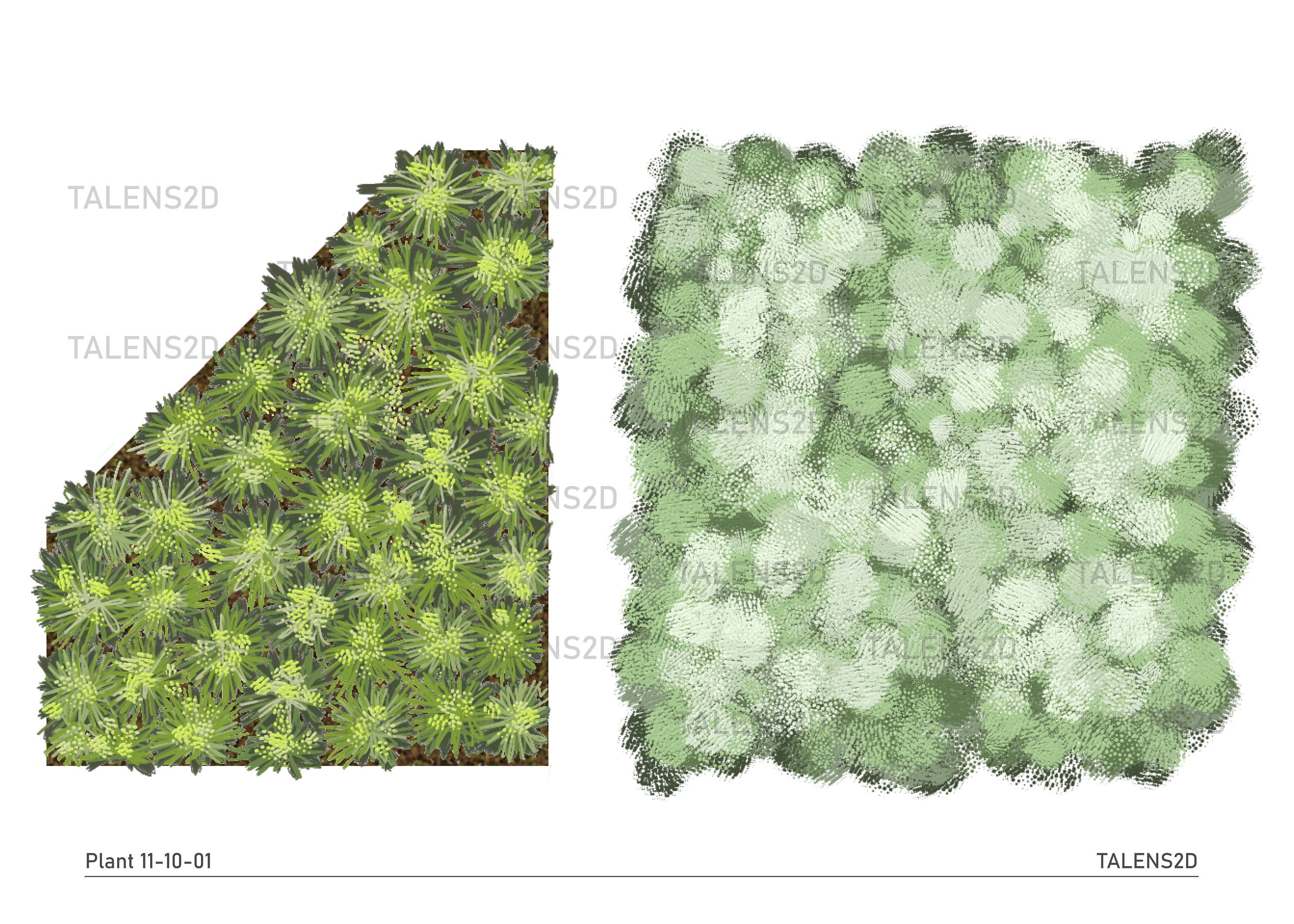 Plant Top View, 2D Landscape Clipart in PNG - Etsy