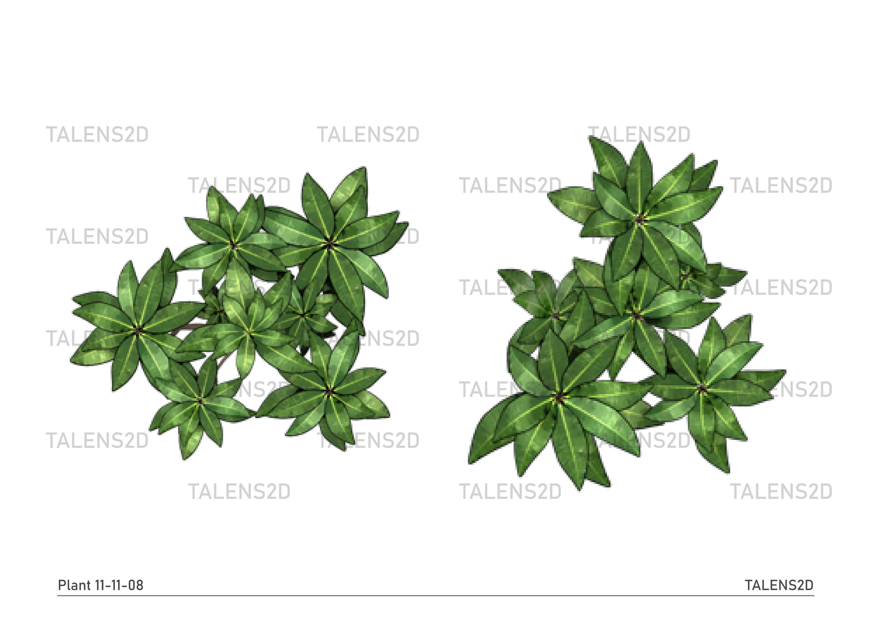 Hand-painted Plant Top View Symbols: Landscape Architecture (PNG Files ...