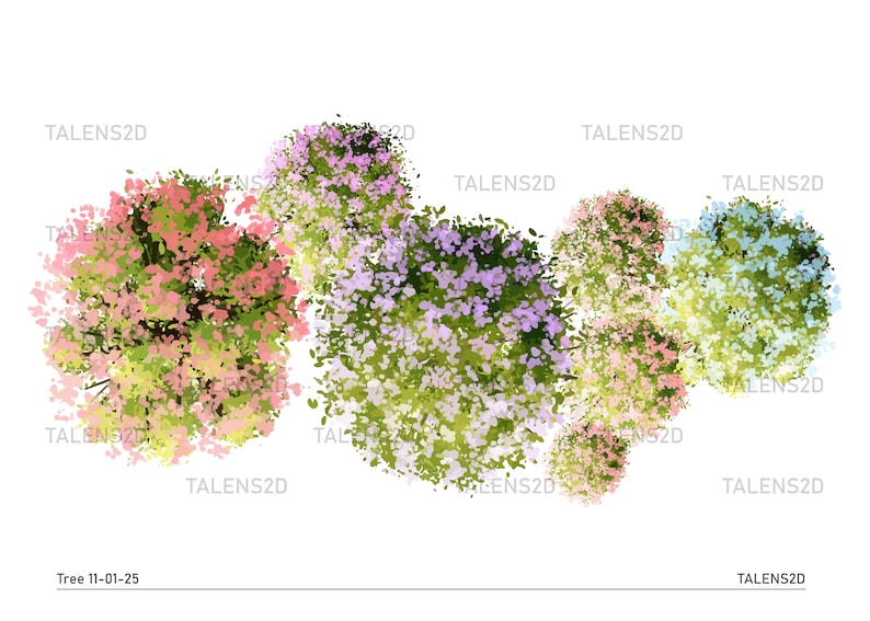Tree Top View, 2D Landscape Clipart in PNG - Etsy