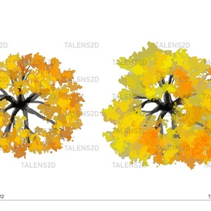 Tree Top View, 2D Landscape Clipart in PNG - Etsy