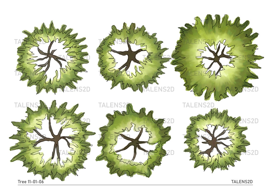 Tree Top View 2D Landscape Clipart in PNG - Etsy