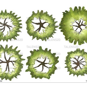 Tree Top View, 2D Landscape Clipart in PNG - Etsy