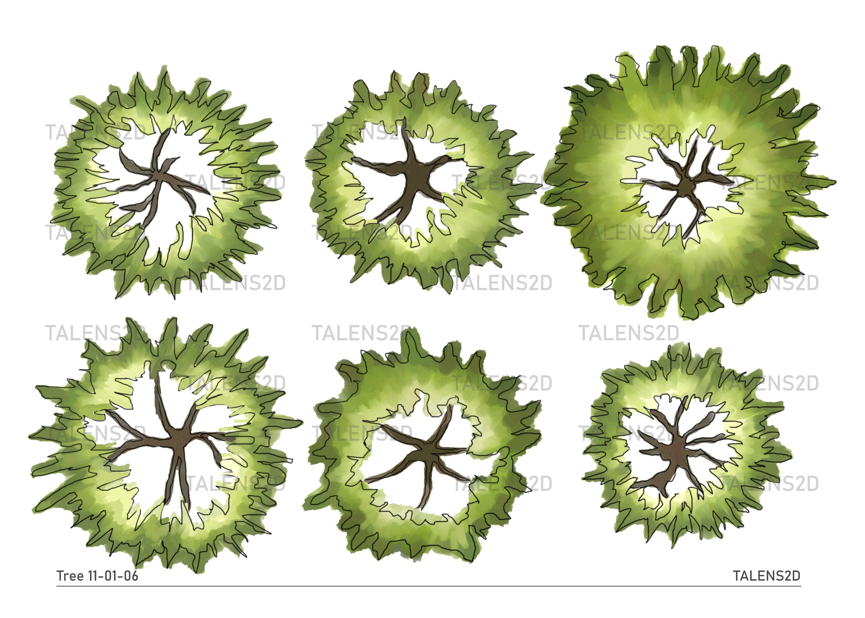 Tree Top View, 2D Landscape Clipart in PNG - Etsy