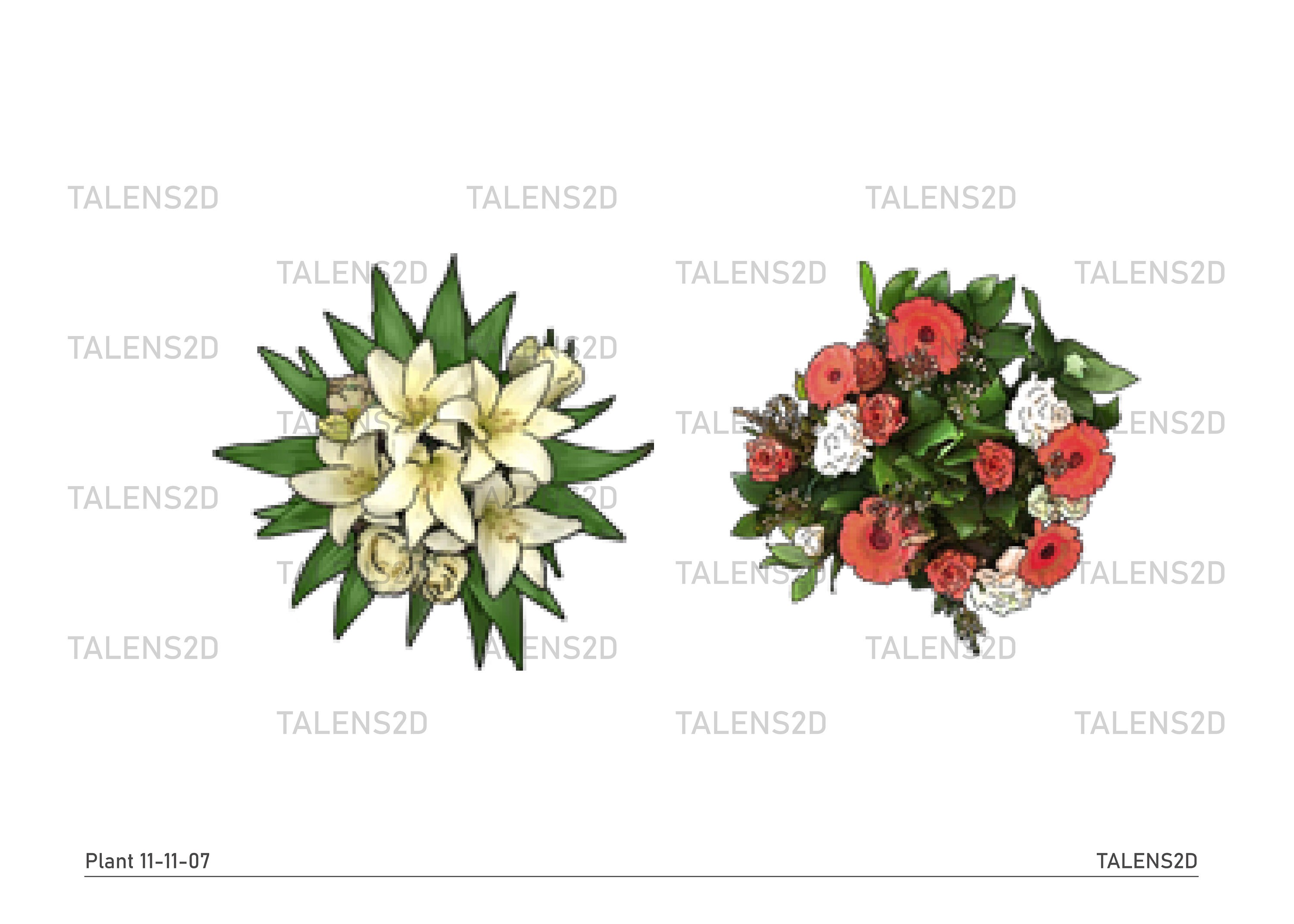 Plant Top View, Landscape Plants, Hand Painted Plant Top Symbols for ...