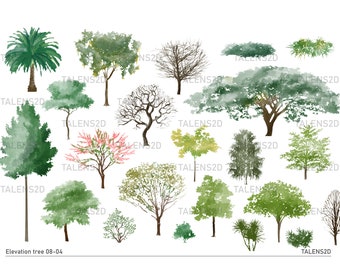 Watercolor Trees Clipart Painted Tree Clipart PNG Graphics Instant ...