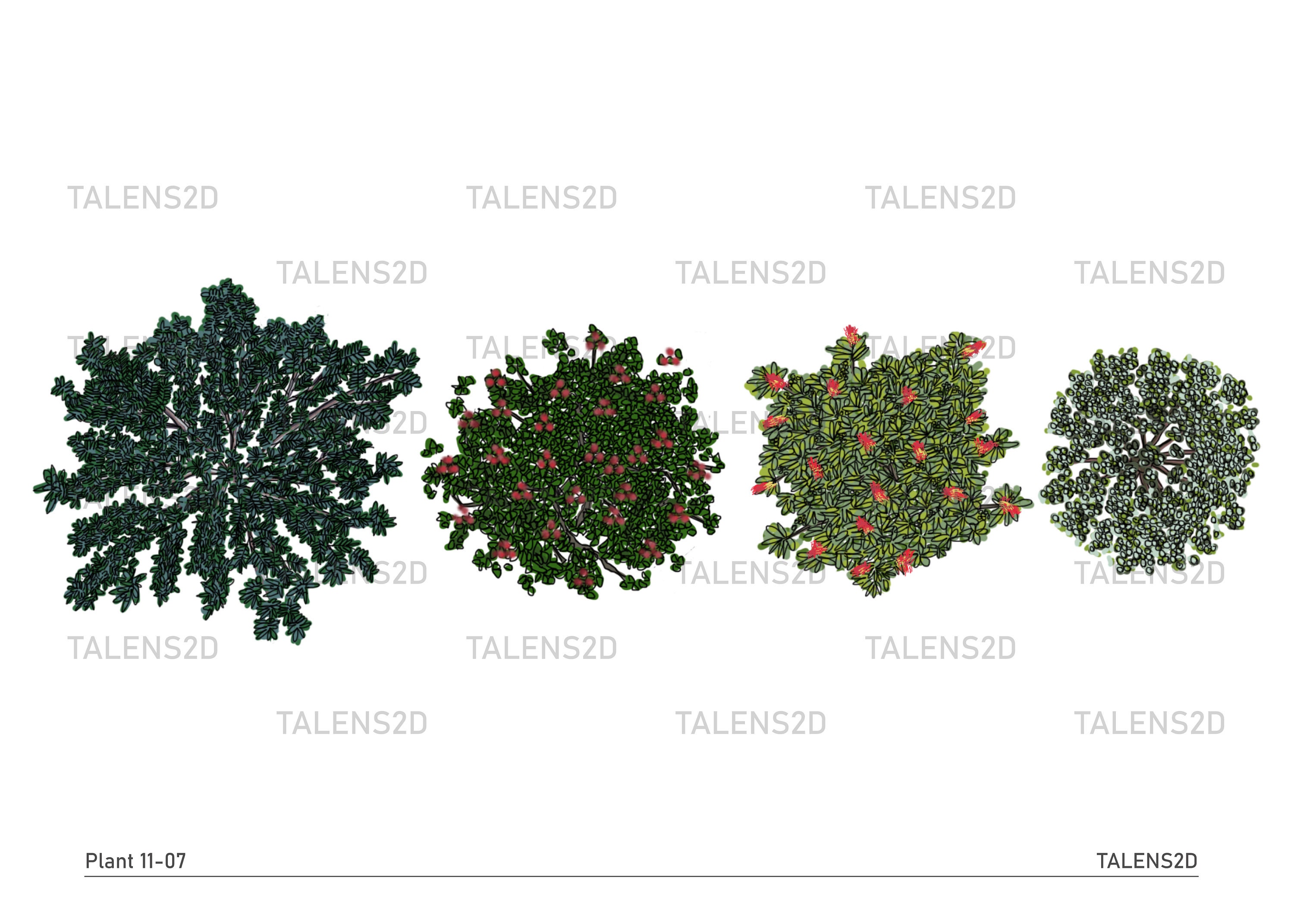 Plant Top View, 2D Landscape Clipart in PNG - Etsy