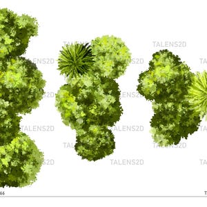Tree Top View, 2D Landscape Clipart in PNG - Etsy