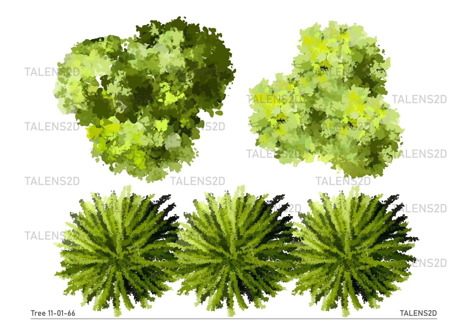 Tree Top View, 2D Landscape Clipart in PNG - Etsy
