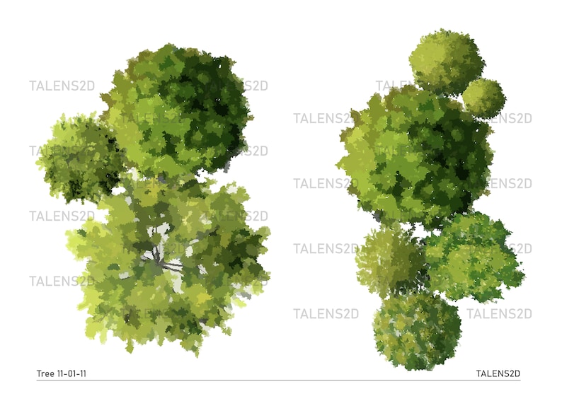 Tree Top View, 2D Landscape Clipart in PNG - Etsy