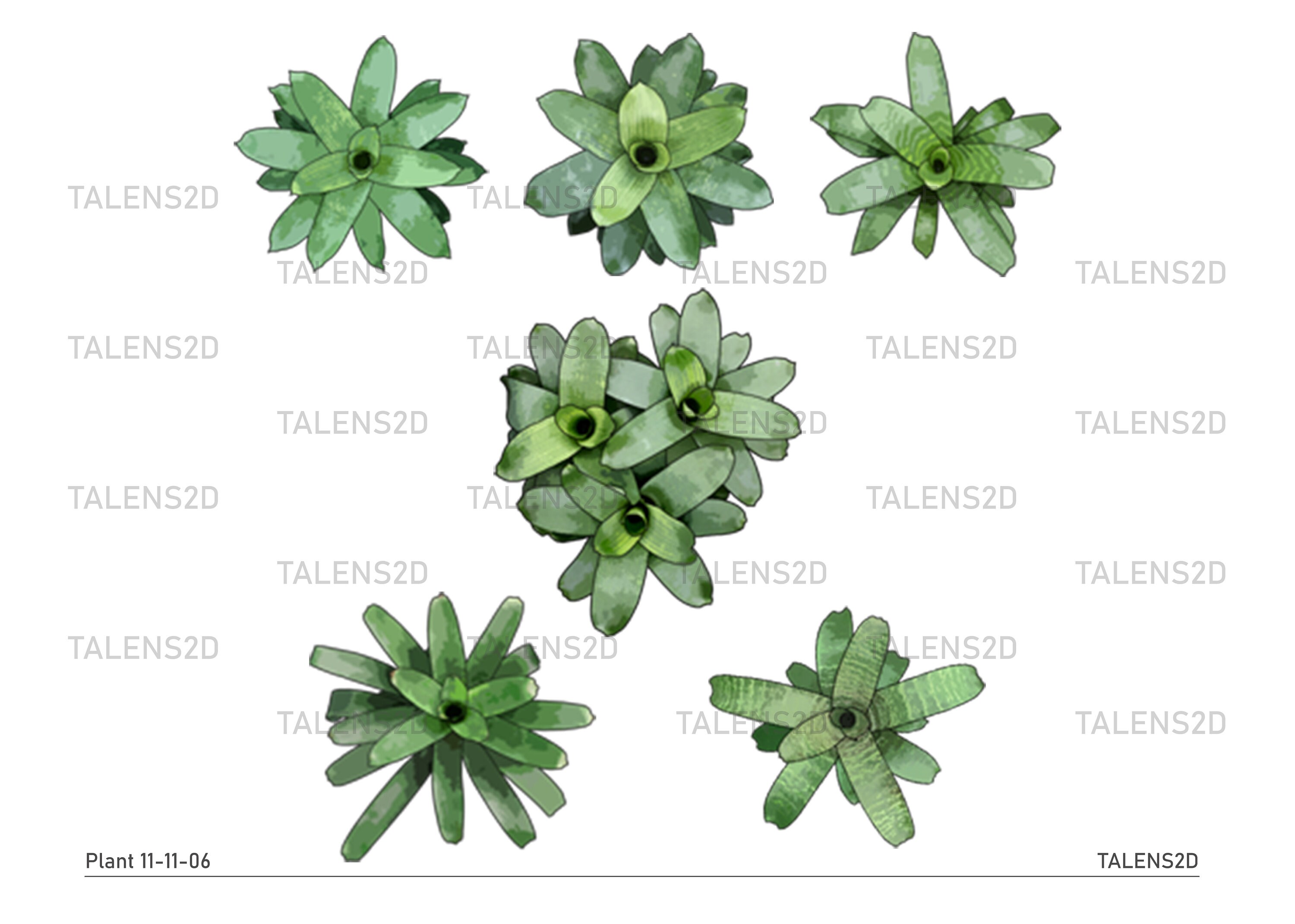 Plant Top View, Landscape Plants, Hand Painted Plant Top Symbols for ...