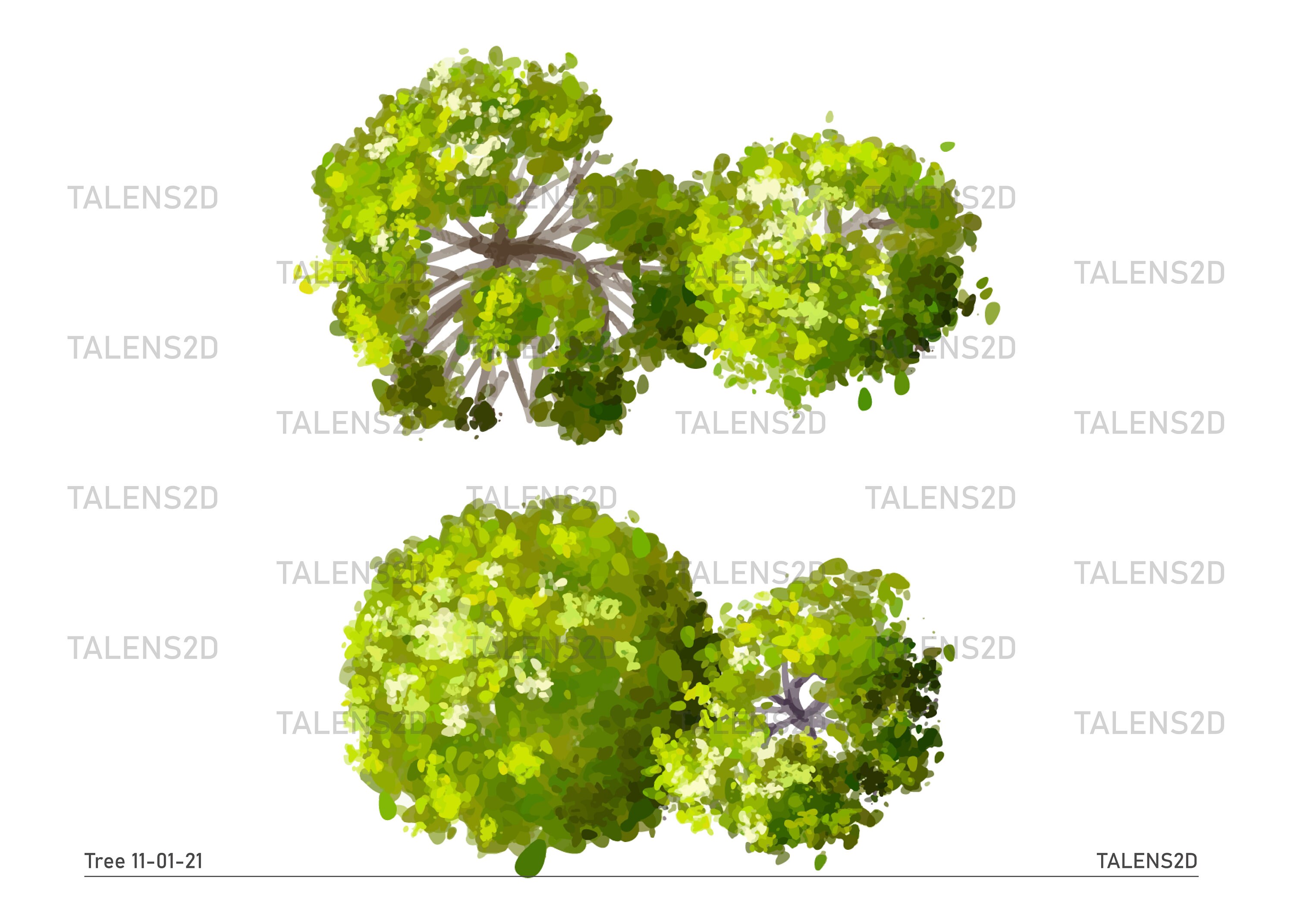 Tree Top View, 2D Landscape Clipart in PNG - Etsy