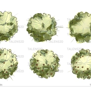 Tree Top View, 2D Landscape Clipart in PNG - Etsy