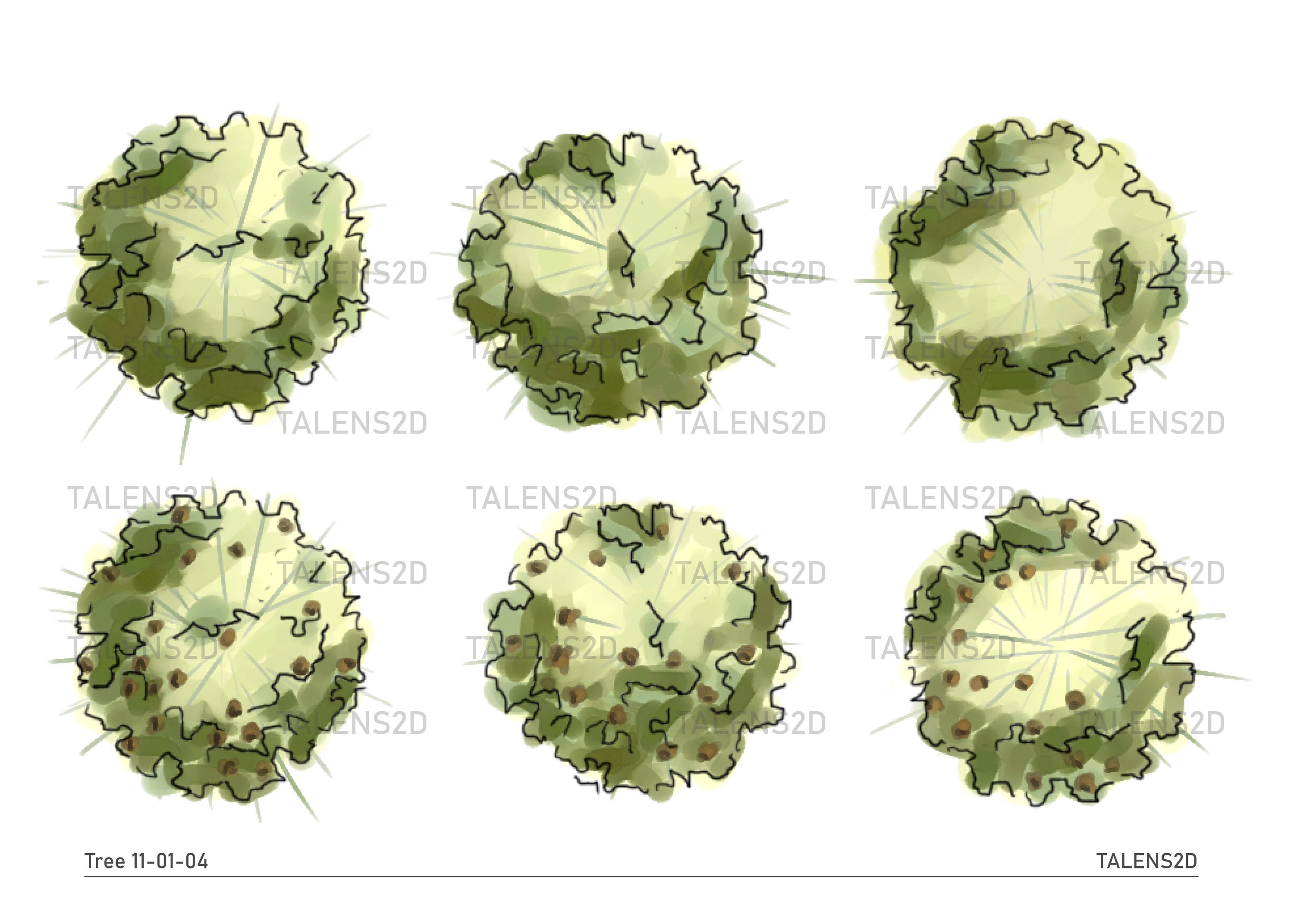 Tree Top View, 2D Landscape Clipart in PNG - Etsy