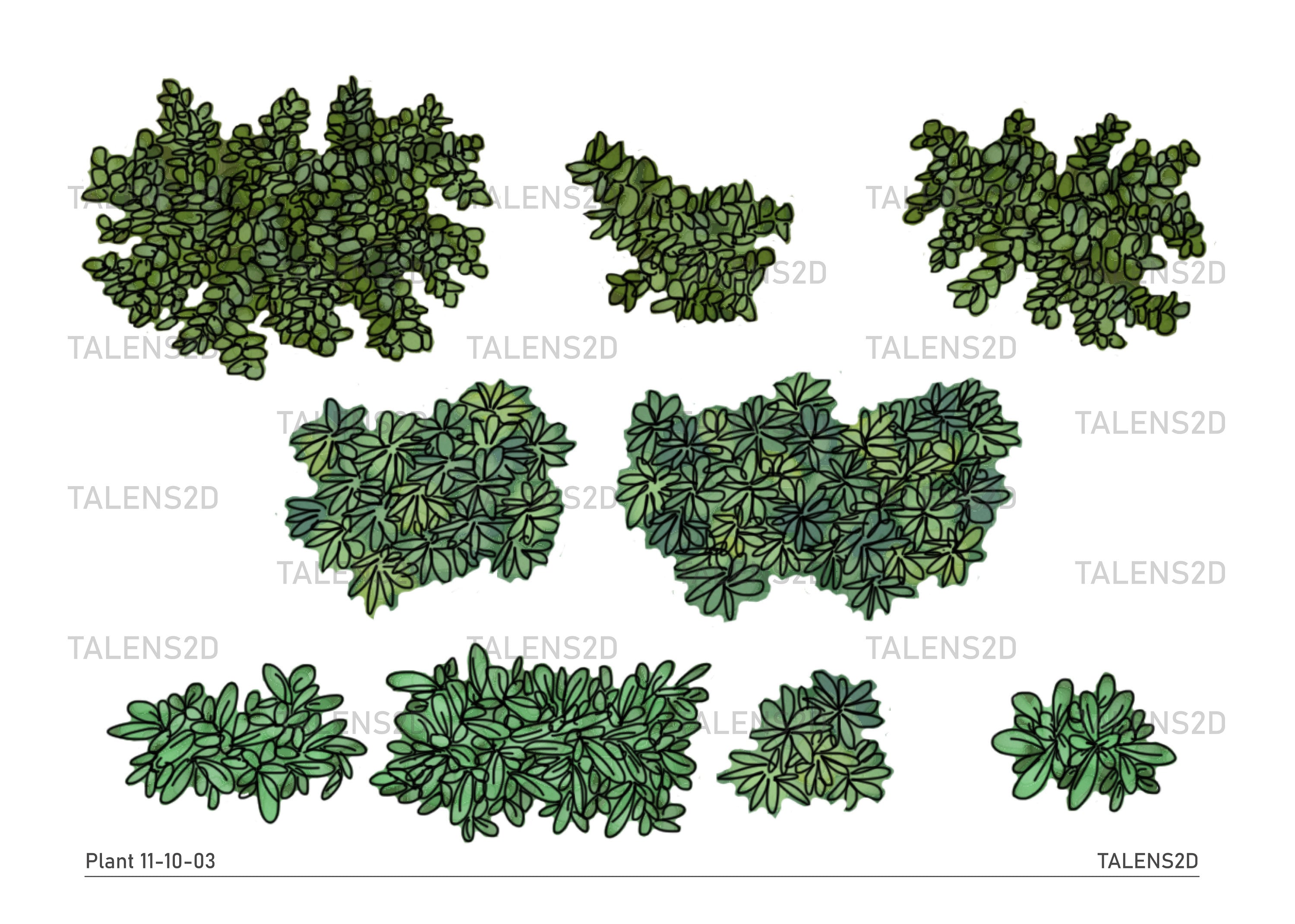 Plant Top View, 2D Landscape Clipart in PNG - Etsy