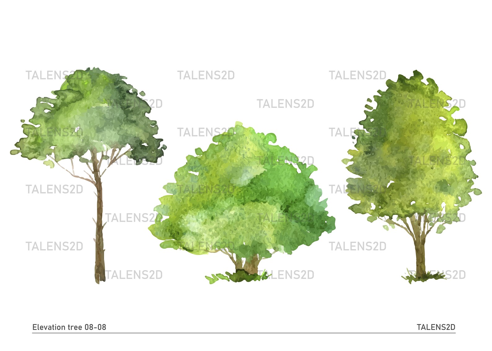 Watercolor Trees Clipart Painted Tree Clipart PNG Graphics Instant ...