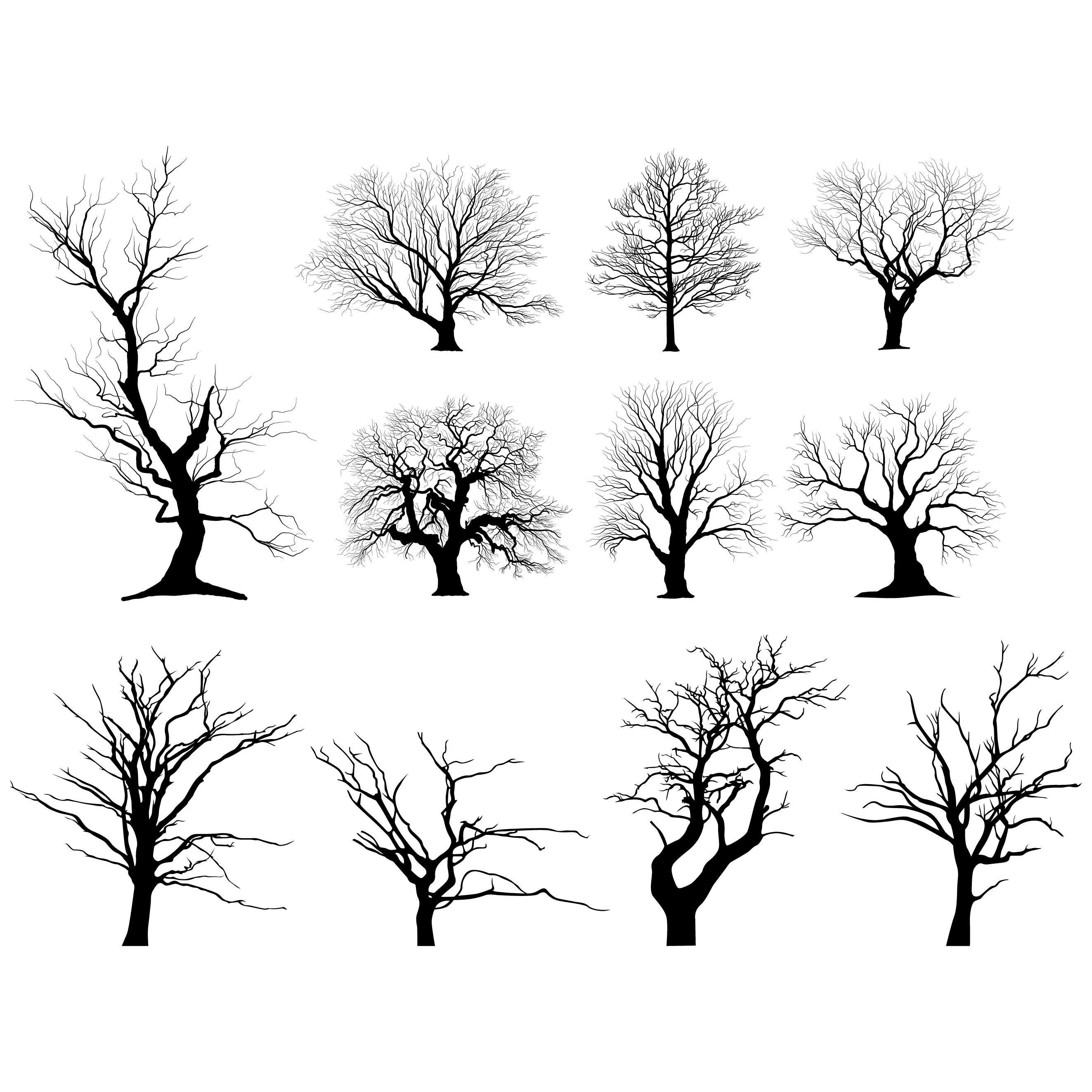 Bare Tree SVG Bundle, Bare Trees SVG, Bare Tree Silhouette, Bare Tree ...