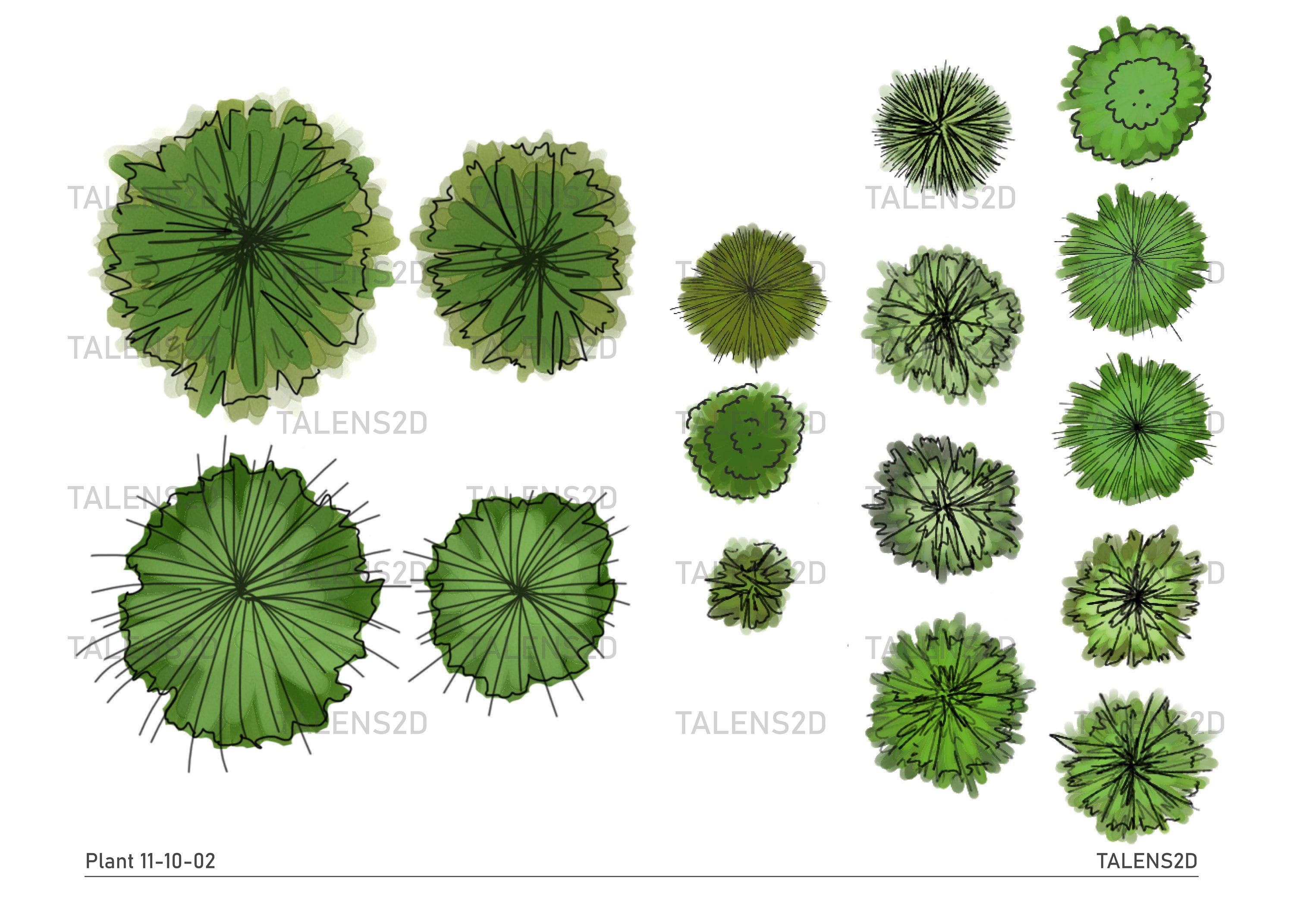 Landscape Architecture Plants: Hand-painted Top View Symbols (PNG Files ...