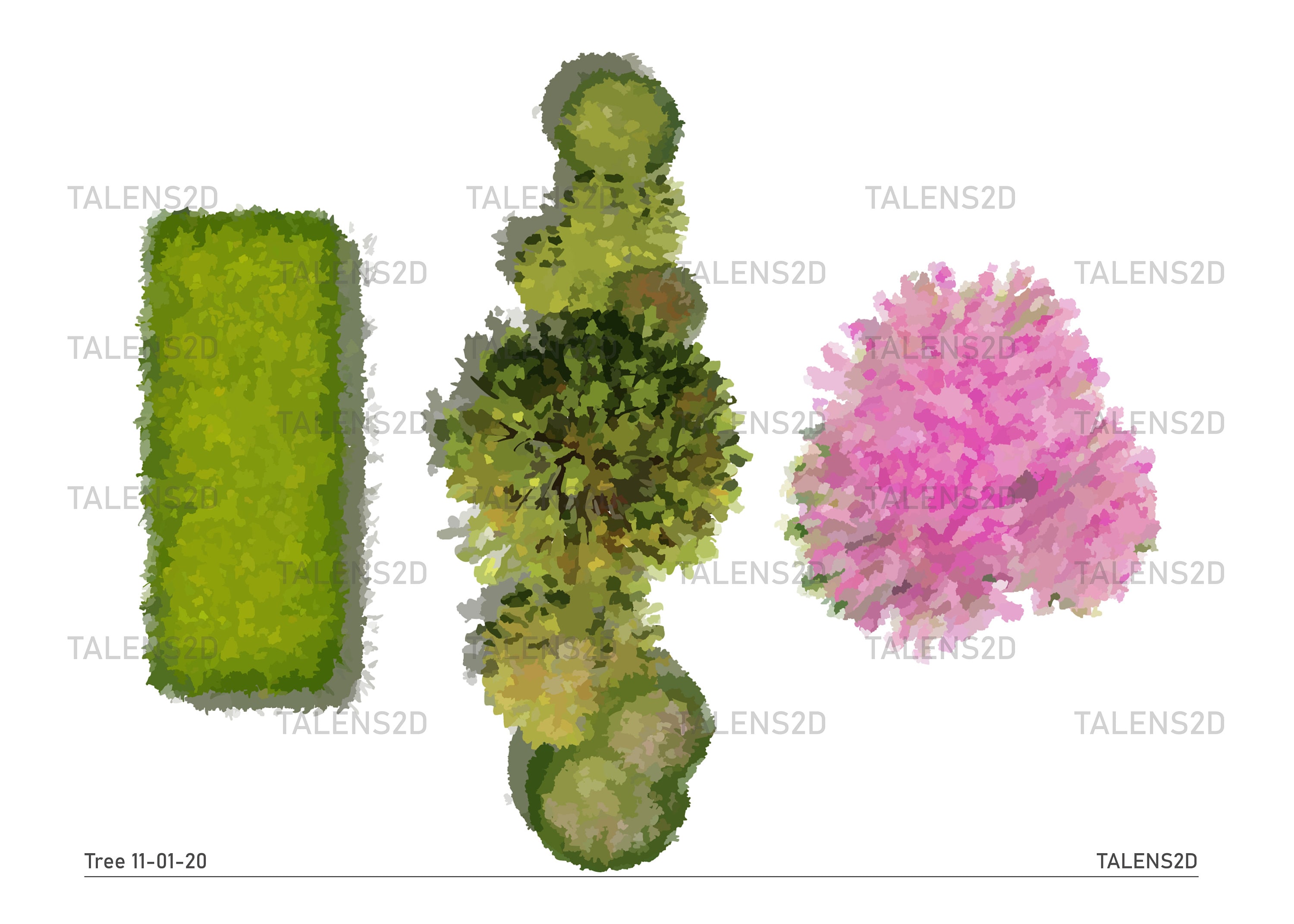 Tree Top View, 2D Landscape Clipart in PNG - Etsy