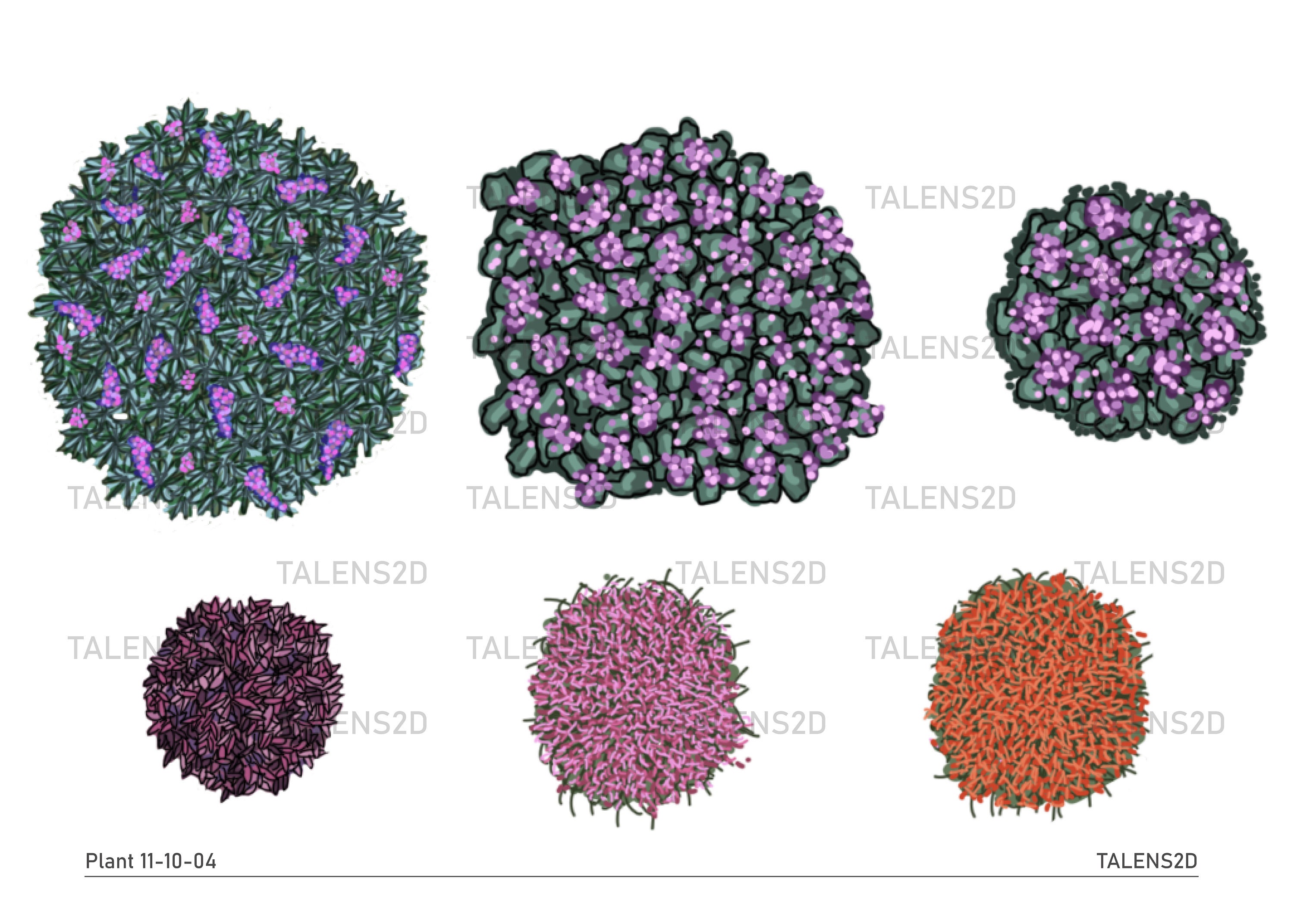 Plant Top View, 2D Landscape Clipart in PNG - Etsy