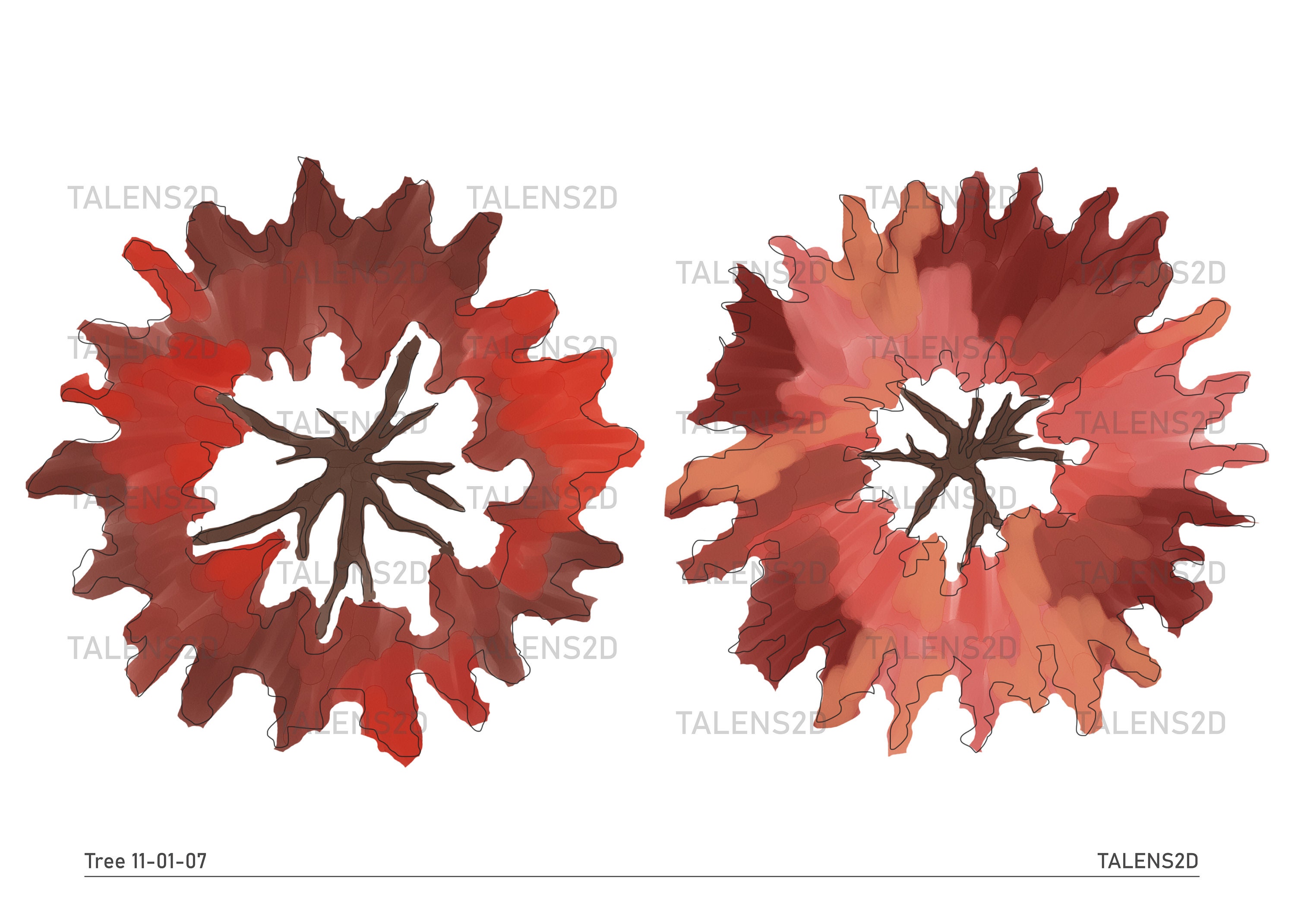 Tree Top View, 2D Landscape Clipart in PNG - Etsy