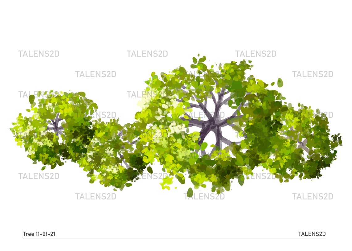Tree Top View, 2D Landscape Clipart in PNG - Etsy