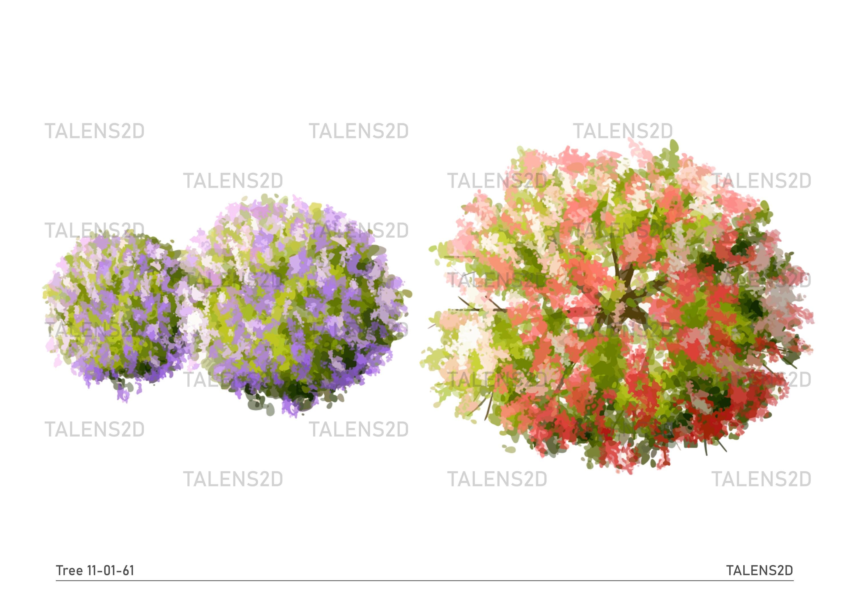 Tree Top View, 2D Landscape Clipart in PNG - Etsy