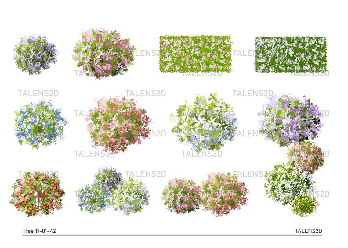 Tree Top View, 2D Landscape Clipart in PNG - Etsy