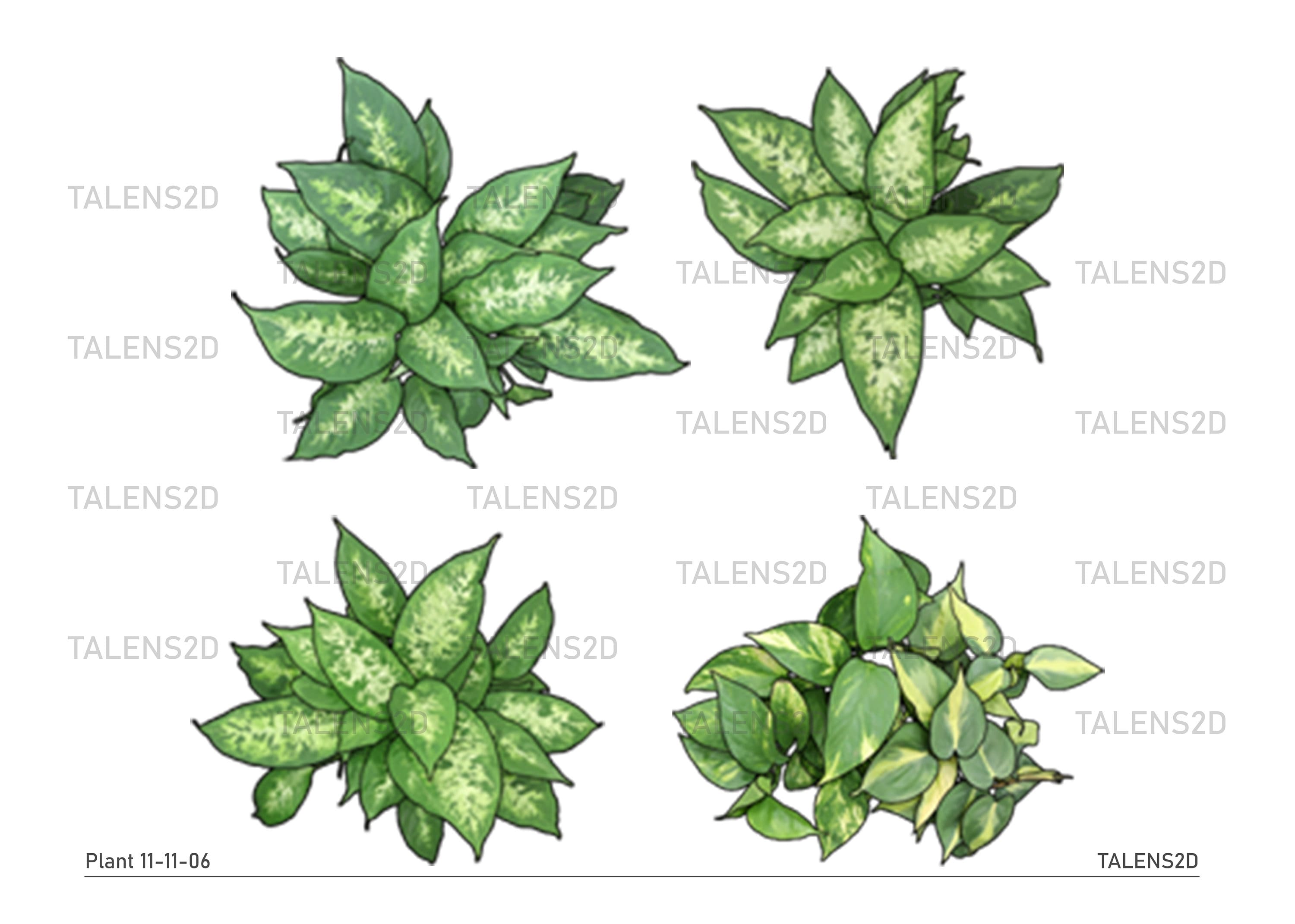 Plant Top View, Landscape Plants, Hand Painted Plant Top Symbols for ...