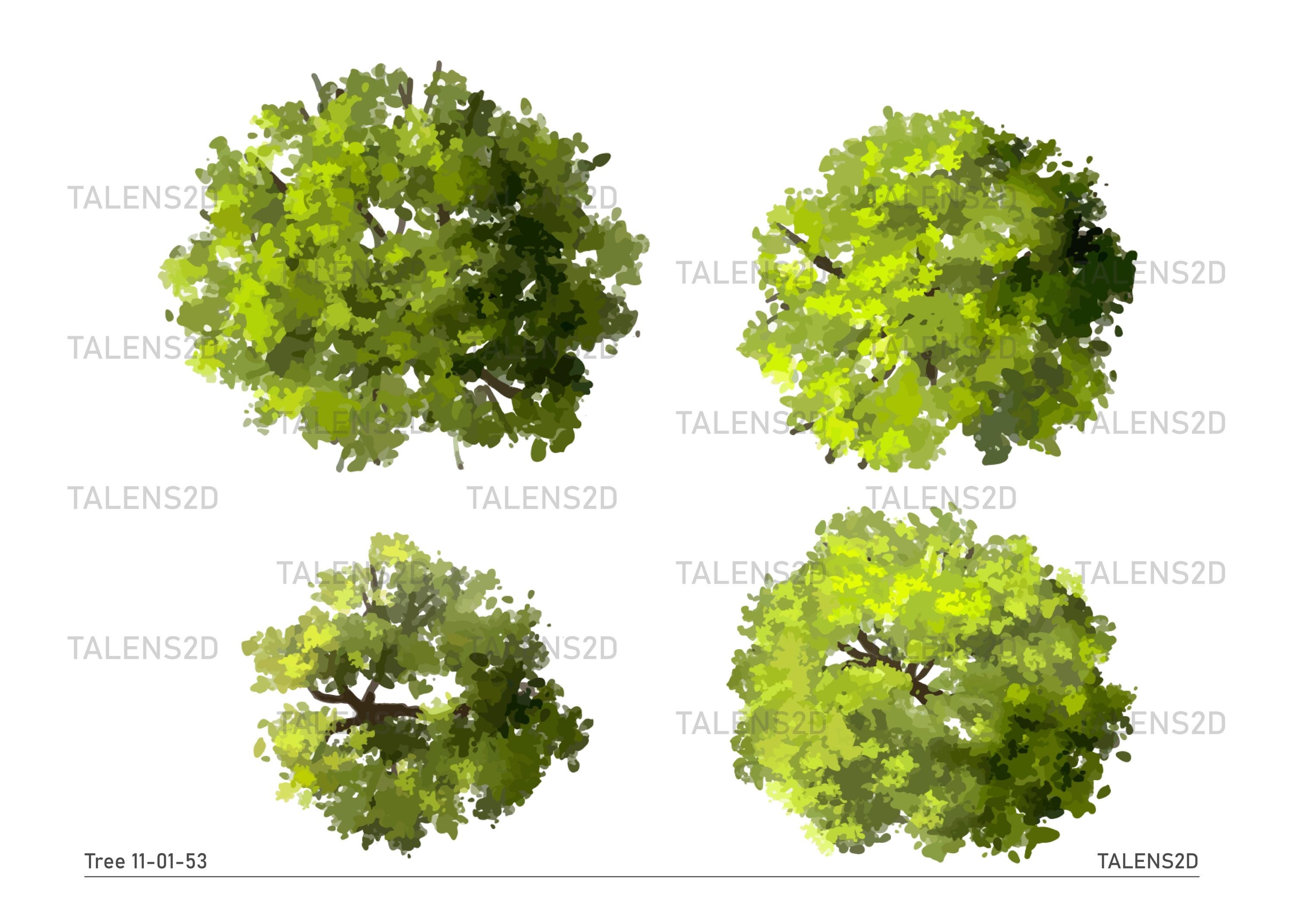 Tree Top View, 2D Landscape Clipart in PNG - Etsy