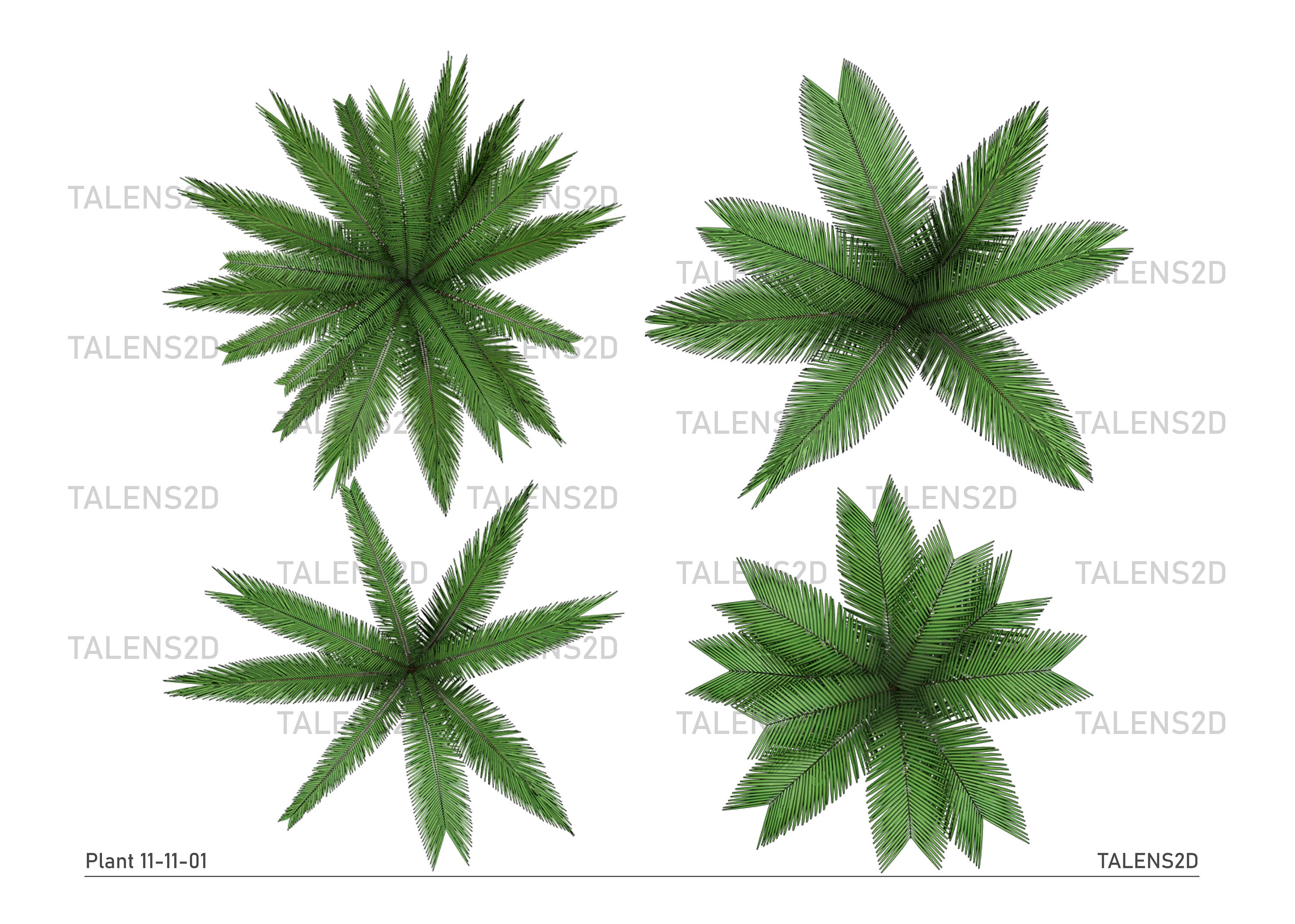 Plant Top View, Landscape Plants, Hand Painted Plant Top Symbols for ...