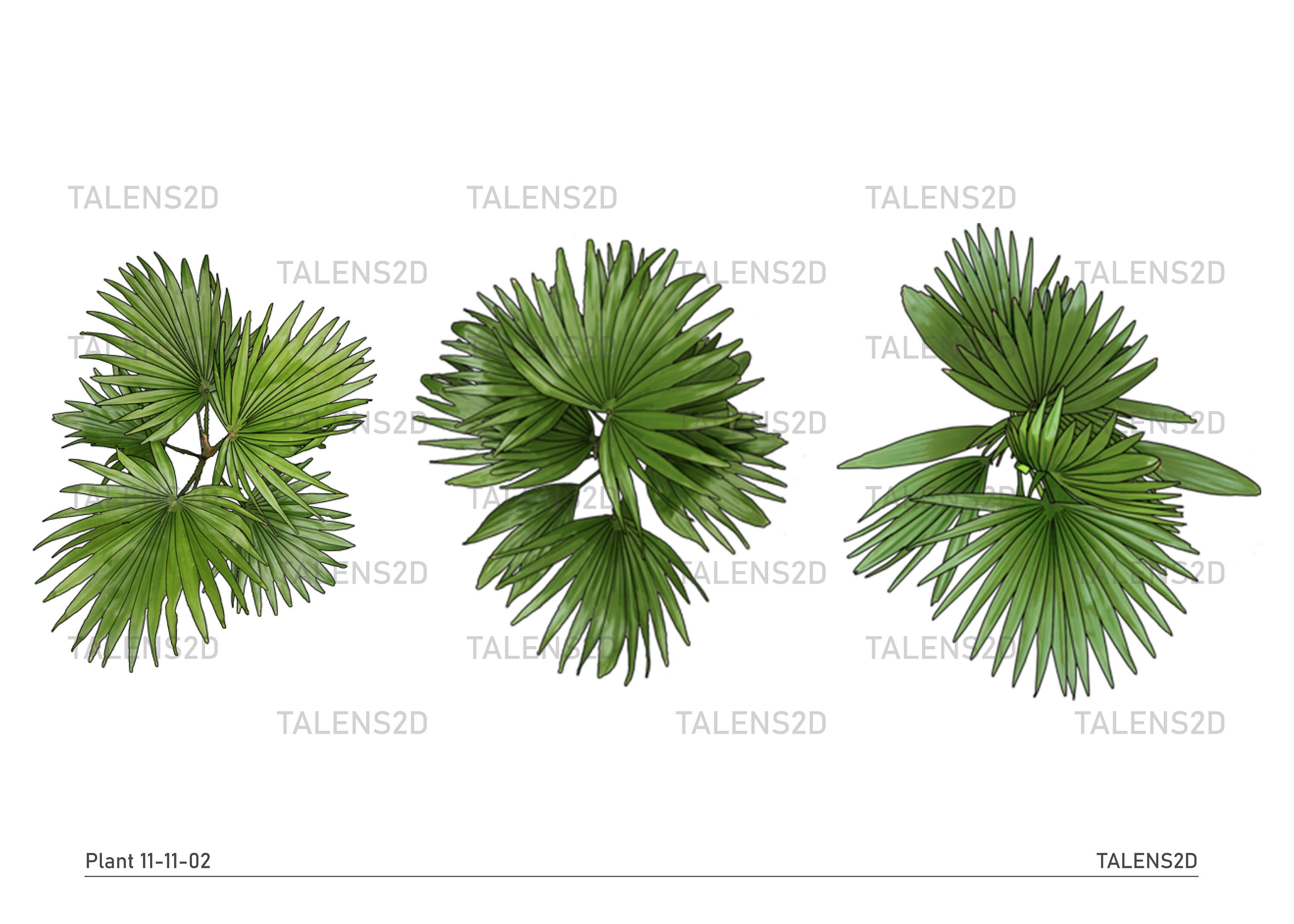 Plant Top View, Landscape Plants, Hand Painted Plant Top Symbols for ...