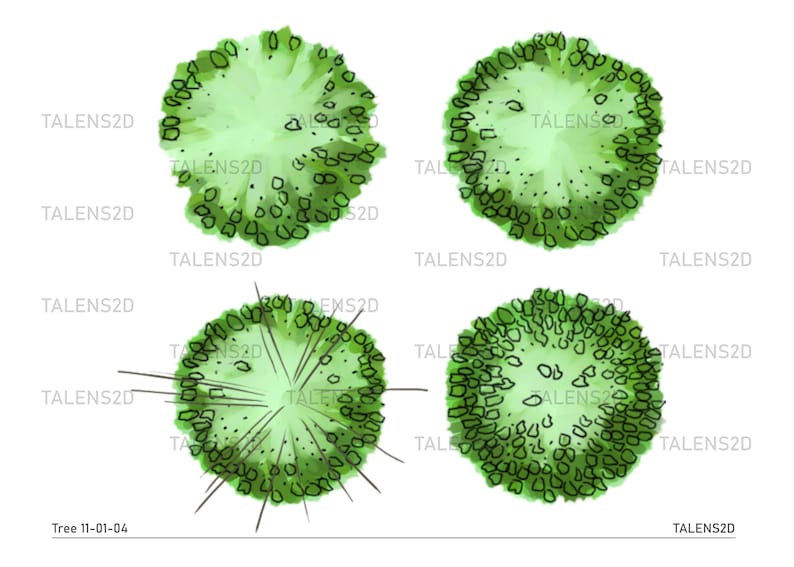 Tree Top View, 2D Landscape Clipart in PNG - Etsy