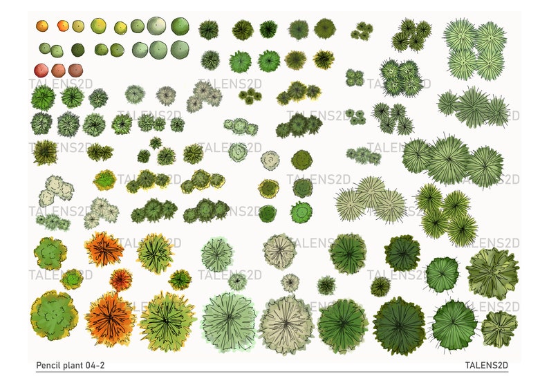 Plant Top View 2D Landscape Top View for Floor Plans PNG - Etsy