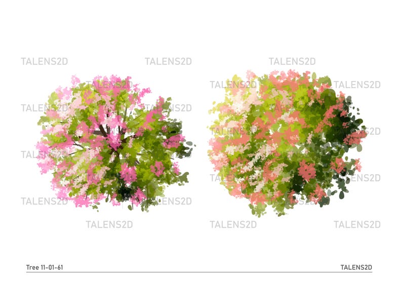 Tree Top View, 2D Landscape Clipart in PNG - Etsy
