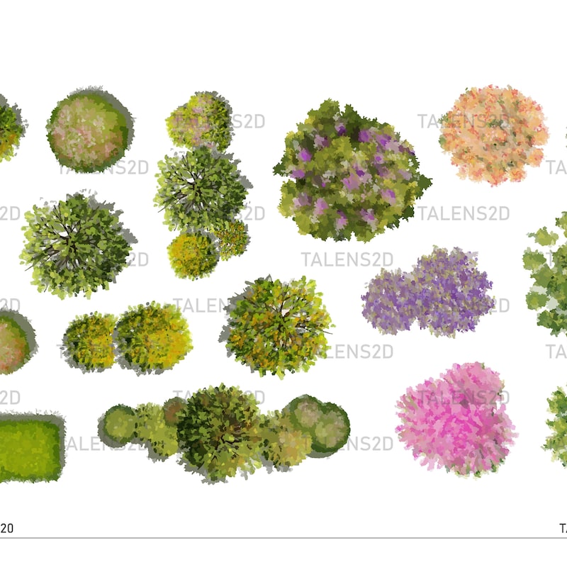 Zone 7 Landscape Design - Etsy