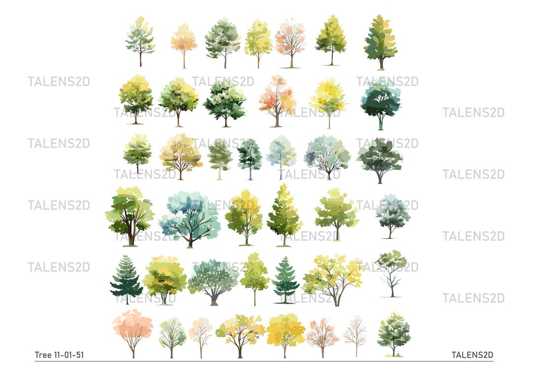 Watercolor Trees Clipart | Painted Tree Clipart | PNG Graphics ...