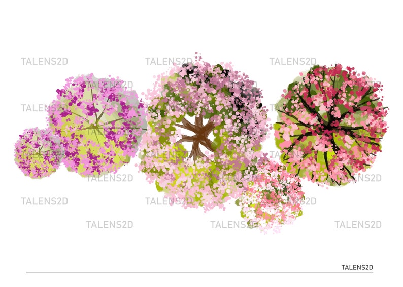 Tree Top View 2D Landscape Clipart in PNG - Etsy