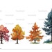 Watercolor Trees Clipart | Painted Tree Clipart | PNG Graphics ...