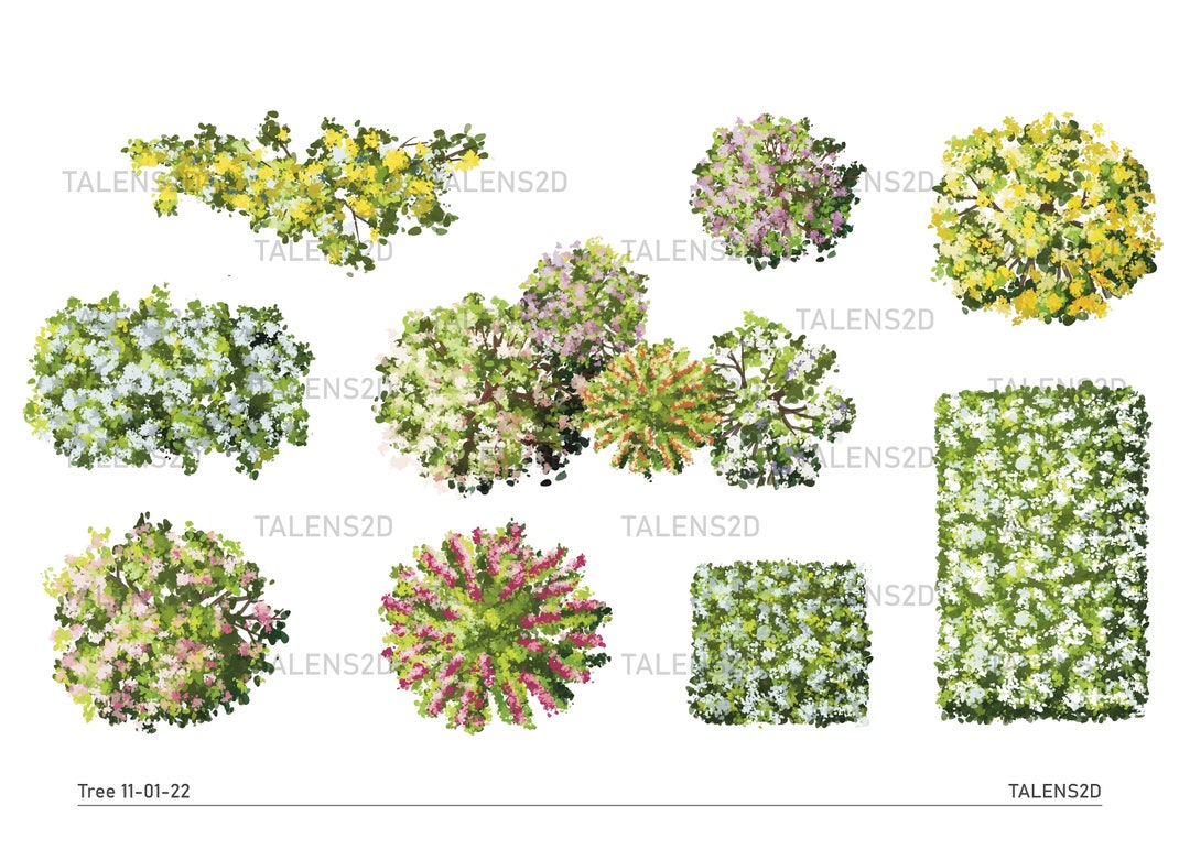 Tree Top View, 2D Landscape Clipart in PNG - Etsy