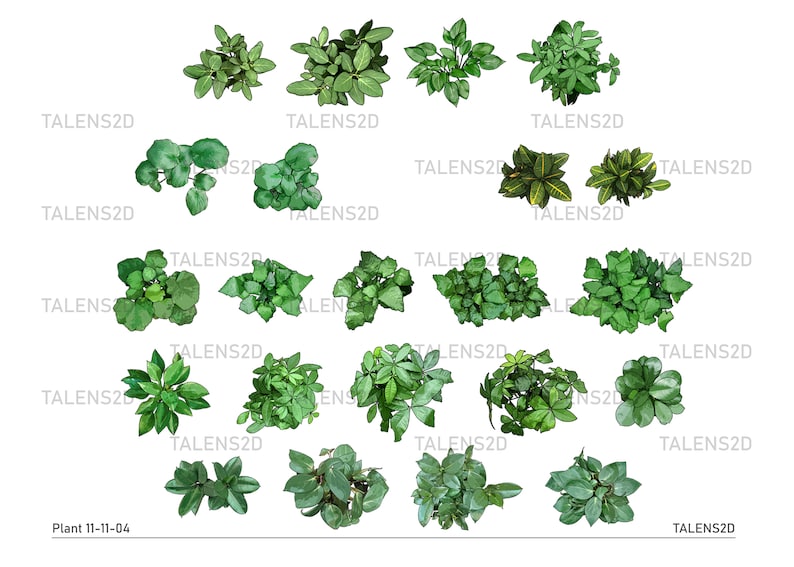 Plant Top View, Landscape Plants, Hand Painted Plant Top Symbols for ...