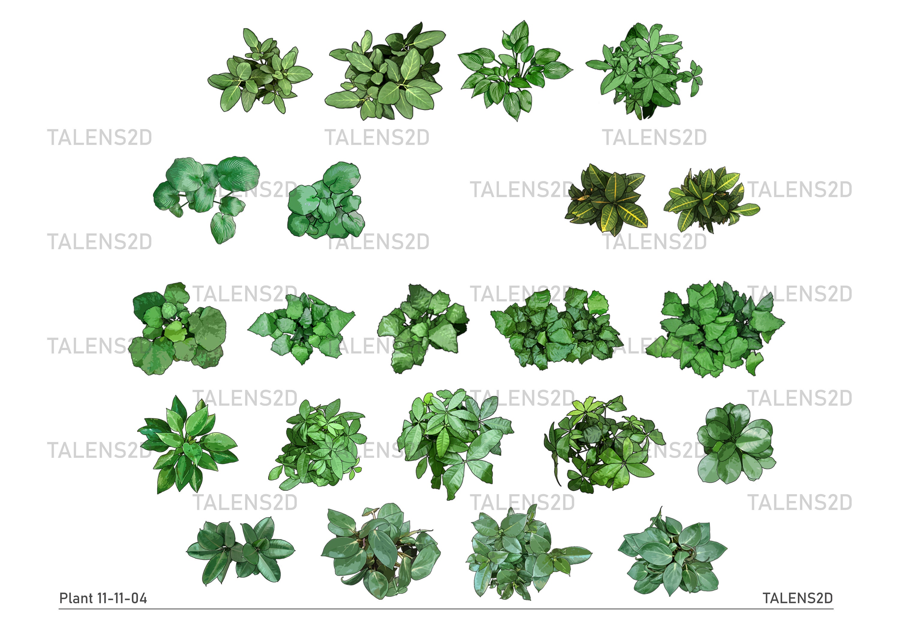 Plant Top View, Landscape Plants, Hand Painted Plant Top Symbols for ...