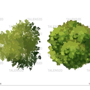 Tree Top View, 2D Landscape Clipart in PNG - Etsy