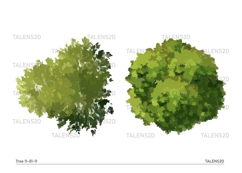 Tree Top View, 2D Landscape Clipart in PNG - Etsy
