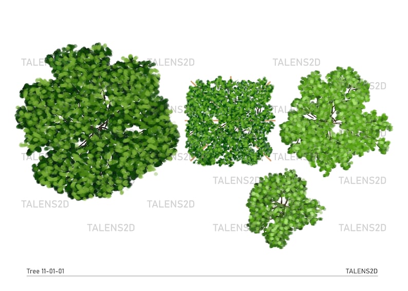 Tree Top View, 2D Landscape Clipart in PNG - Etsy