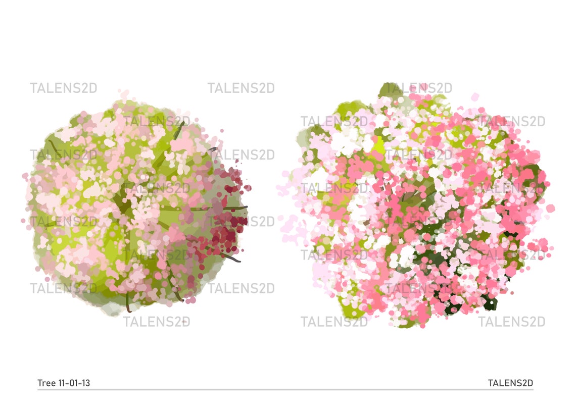 Tree Top View 2D Landscape Clipart in PNG - Etsy