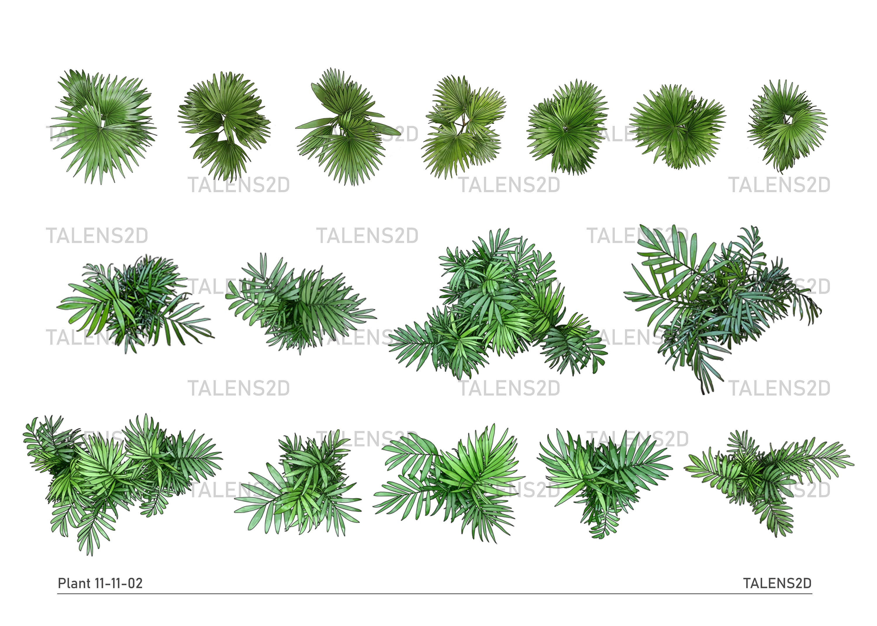 Plant Top View, Landscape Plants, Hand Painted Plant Top Symbols for ...