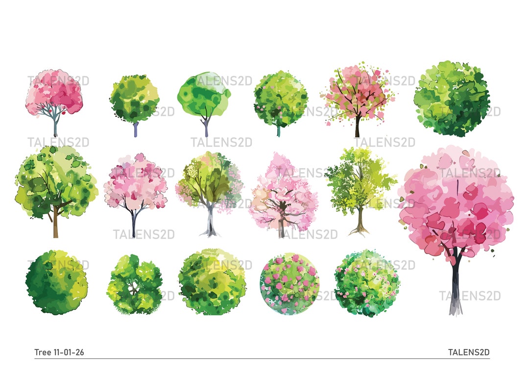 Watercolor Trees Clipart Painted Tree Clipart PNG Graphics Instant ...
