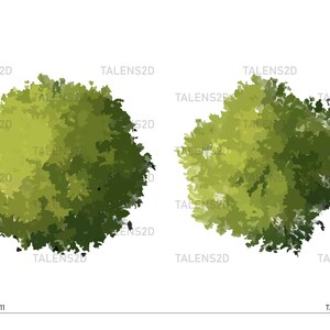 Tree Top View, 2D Landscape Clipart in PNG - Etsy